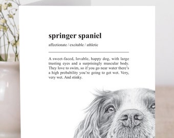 Funny Springer Spaniel Birthday Card - Etsy UK