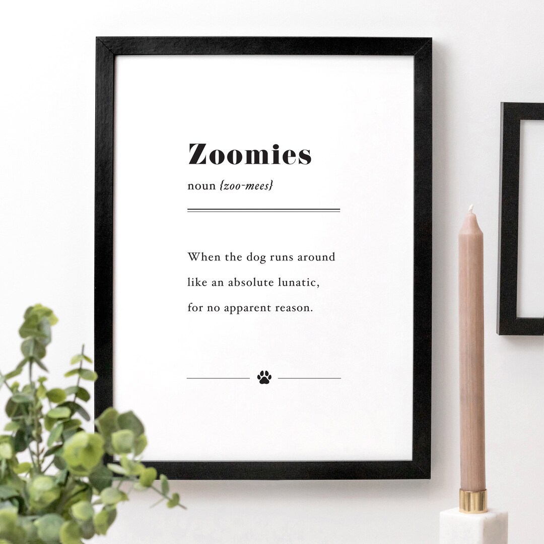 Dog Zoomies Funny Quote Print, Minimalist Dictionary Style Description ...