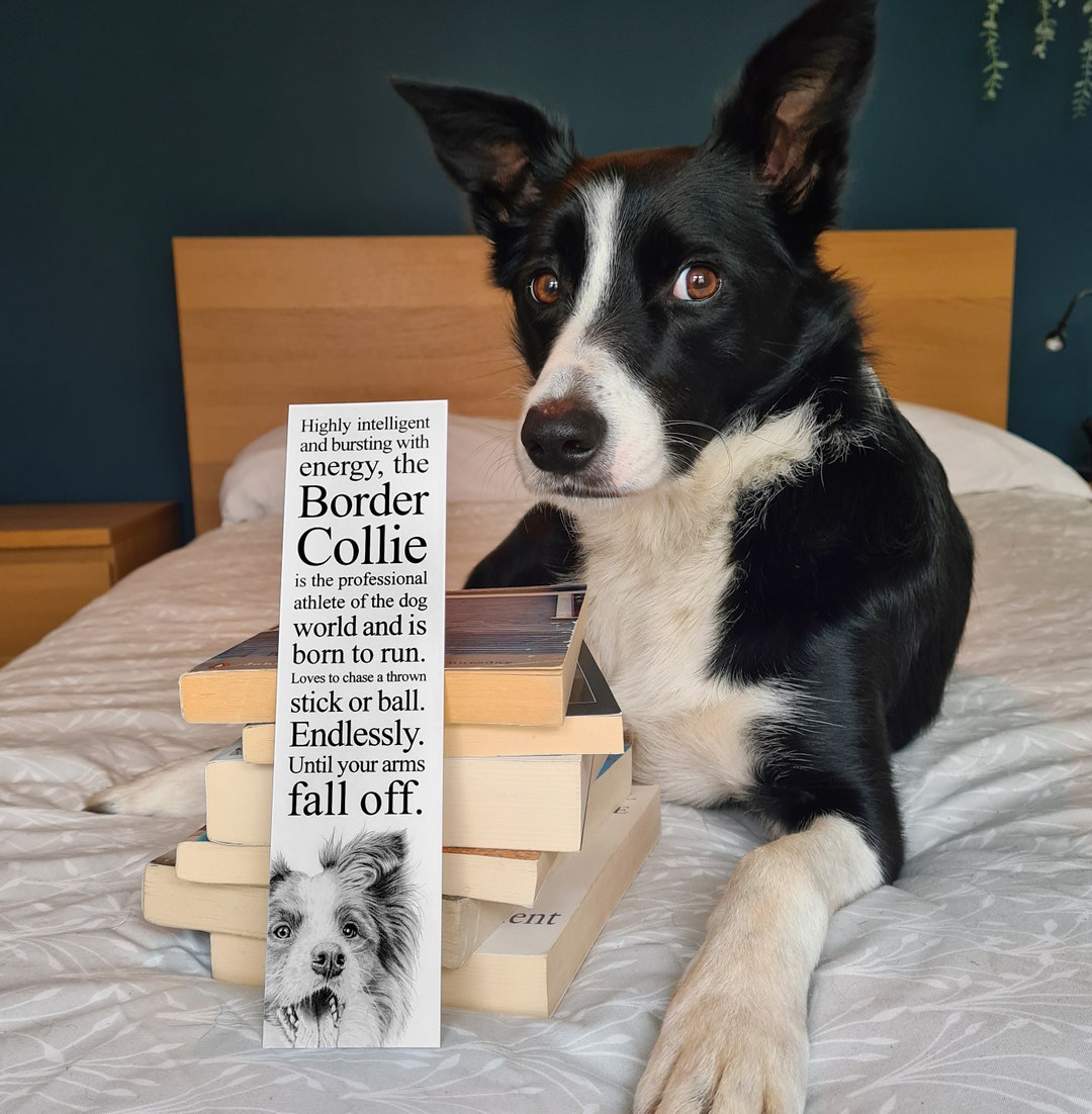 Border Collie Bookmark, Border Collie Gift BM001 - Etsy