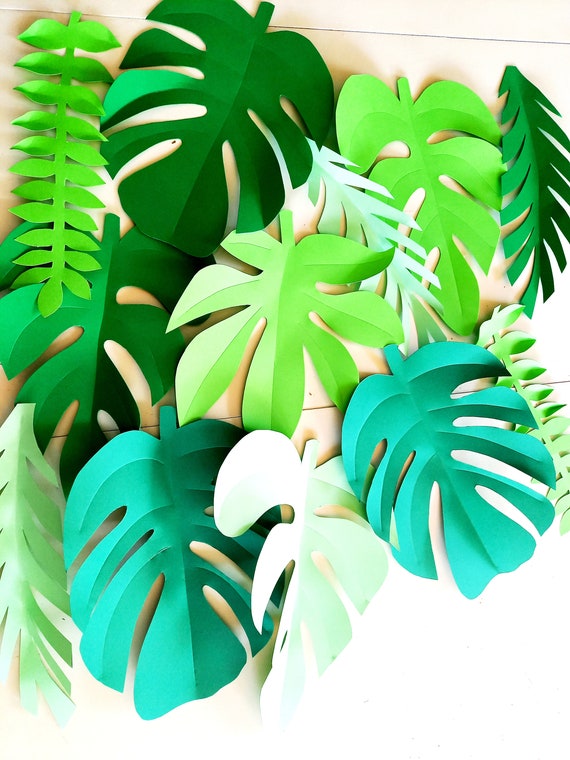 Cartulina Troquelada Tropical Amazon.com: Beistle 3 Count Jointed Palm