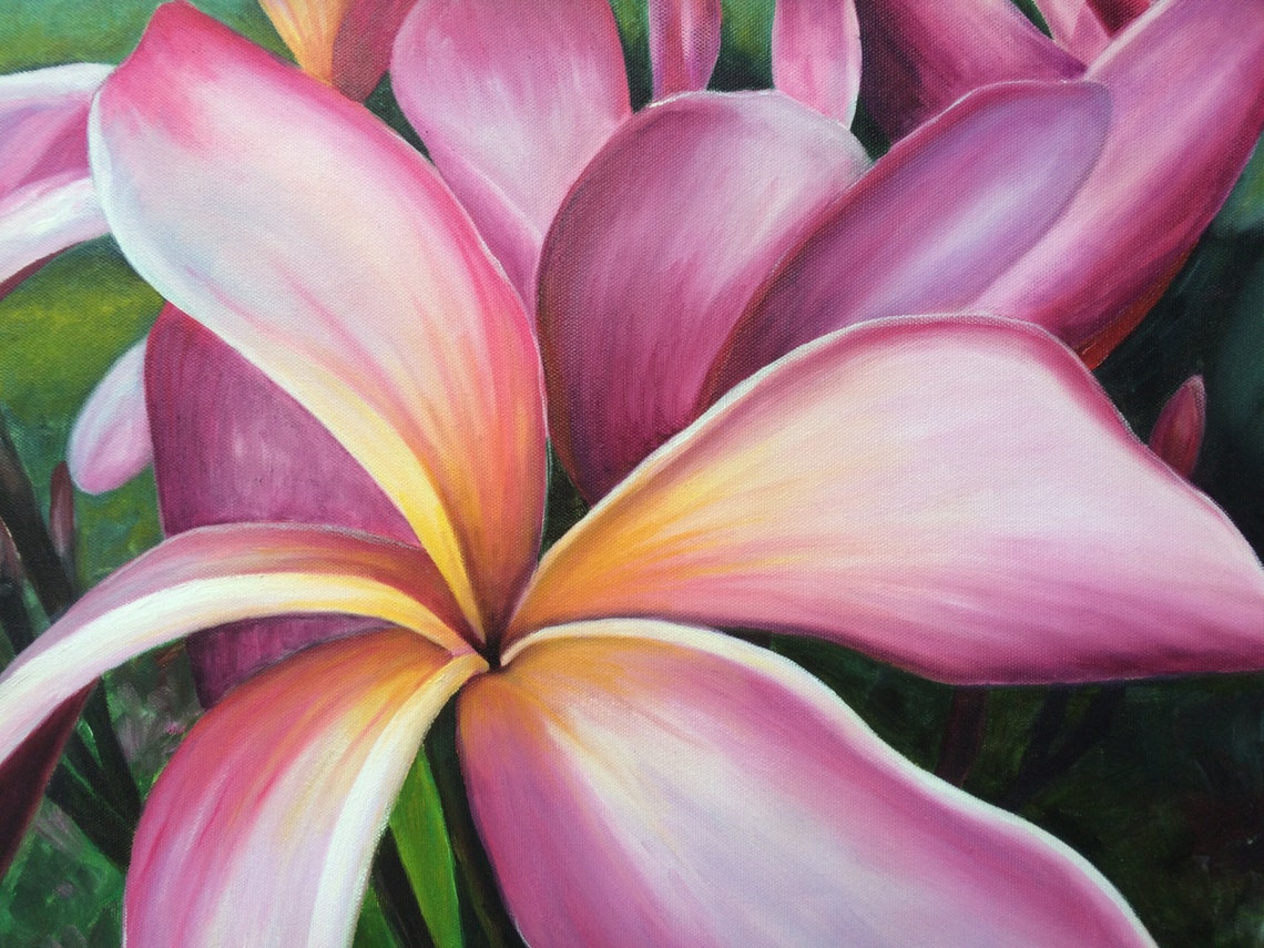 Plumeria Canvas Giclee, Plumeria Oil Painting, Frangipani Art, Buddy ...