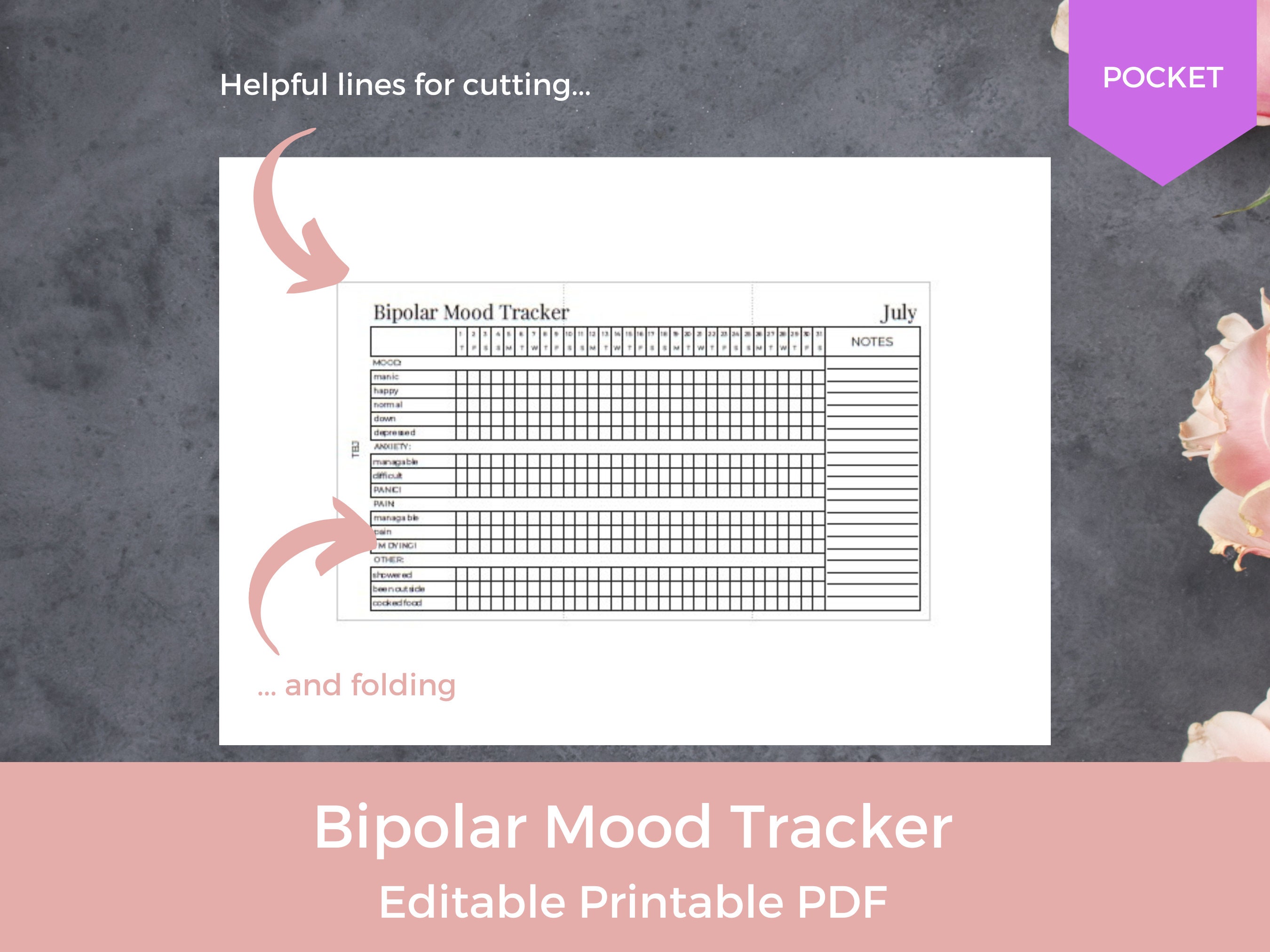 EDITABLE Monthly Bipolar Mood Tracker, Mental Health Tracker, Anxiety ...