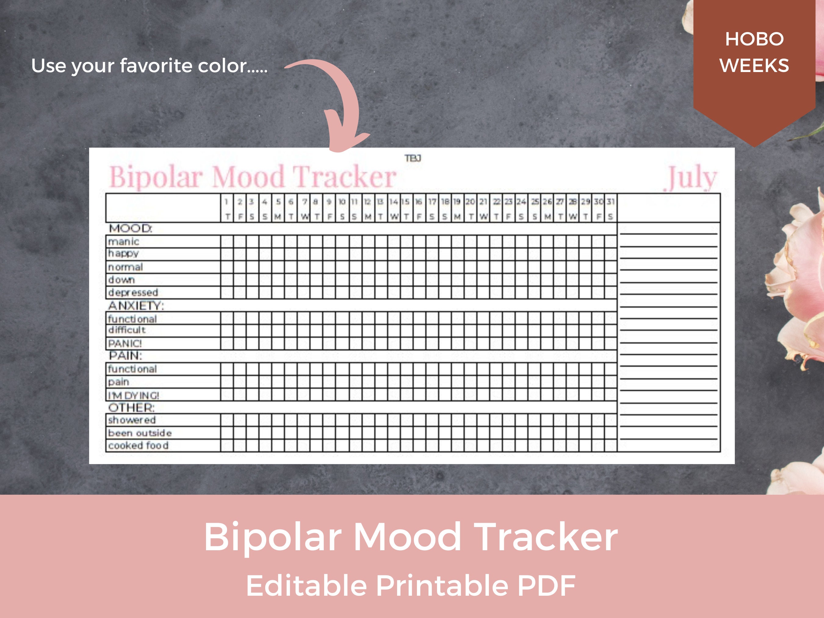 EDITABLE Monthly Bipolar Mood Tracker, Mental Health Tracker, Anxiety ...