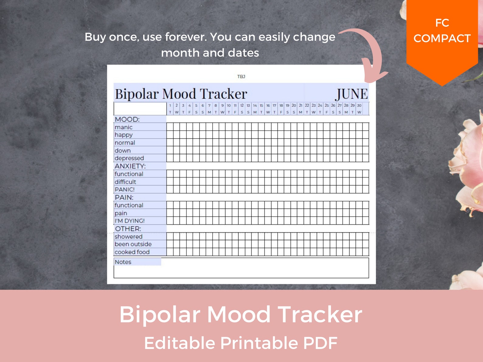 EDITABLE Bipolar Mood Tracker, Mental Health Tracker, Anxiety Tracker ...