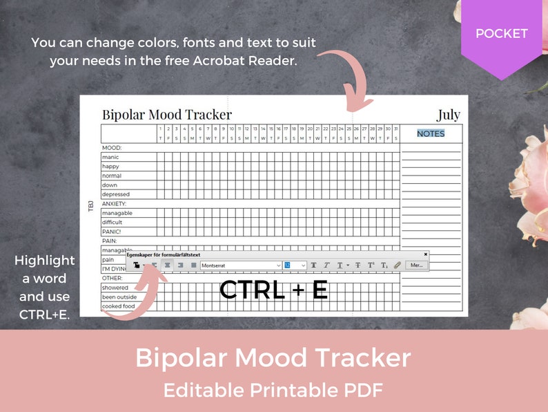 EDITABLE Monthly Bipolar Mood Tracker, Mental Health Tracker, Anxiety ...