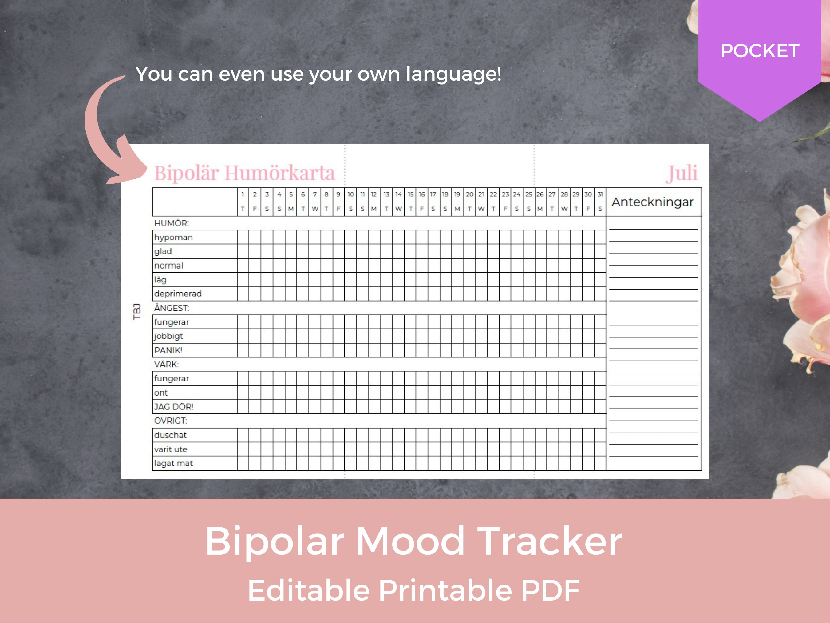 EDITABLE Monthly Bipolar Mood Tracker, Mental Health Tracker, Anxiety ...