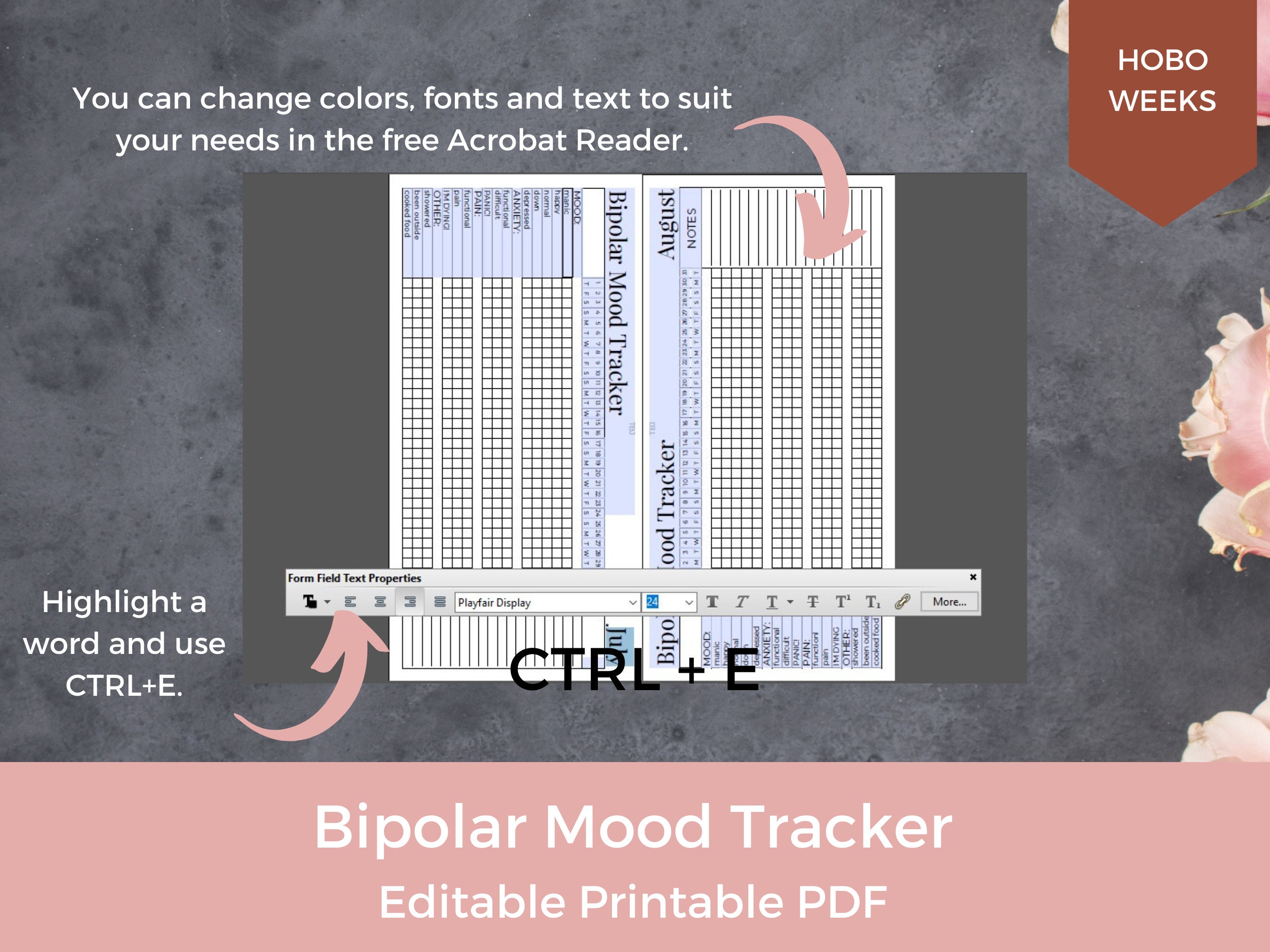 EDITABLE Monthly Bipolar Mood Tracker, Mental Health Tracker, Anxiety ...