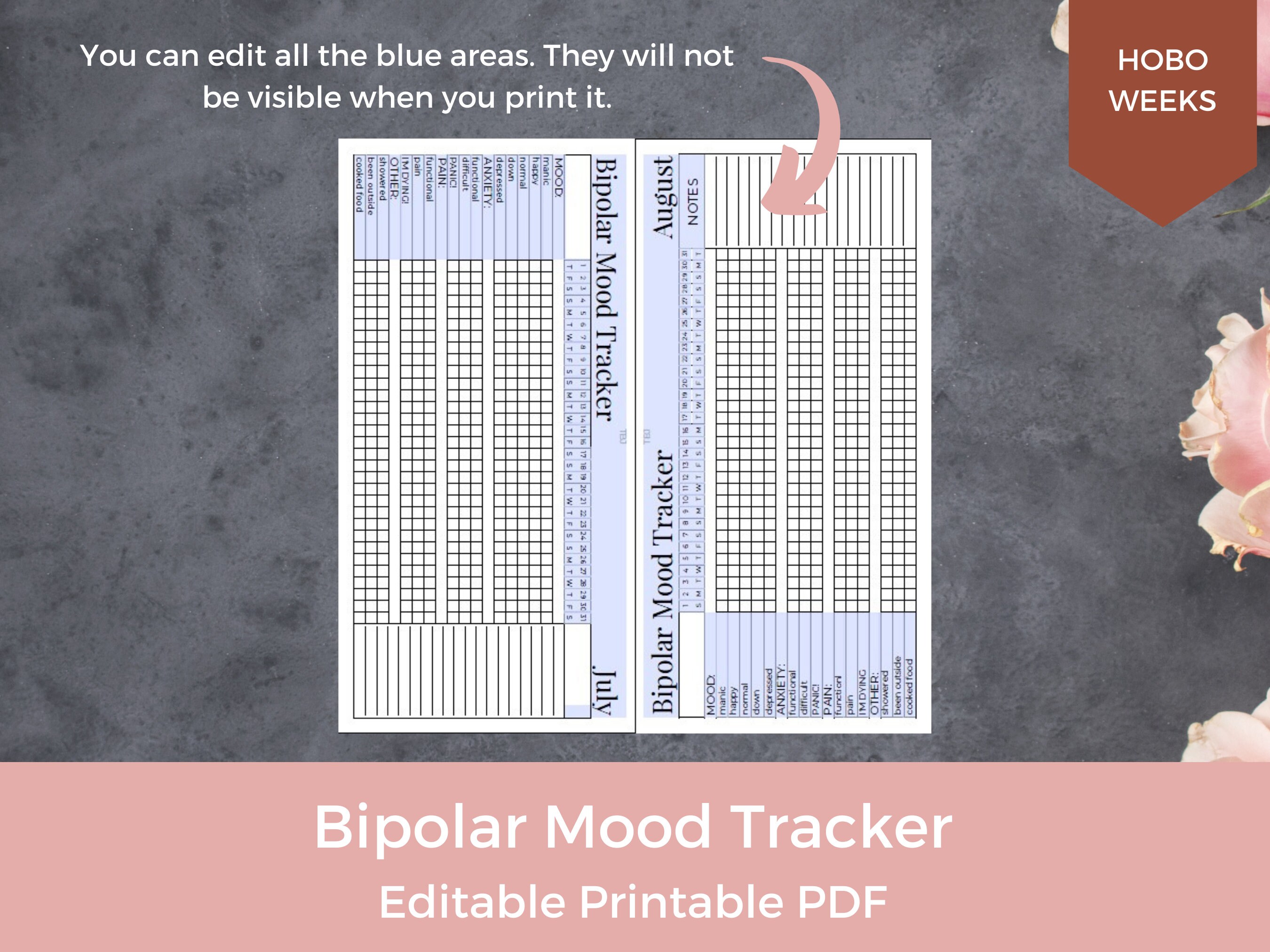 EDITABLE Monthly Bipolar Mood Tracker, Mental Health Tracker, Anxiety ...