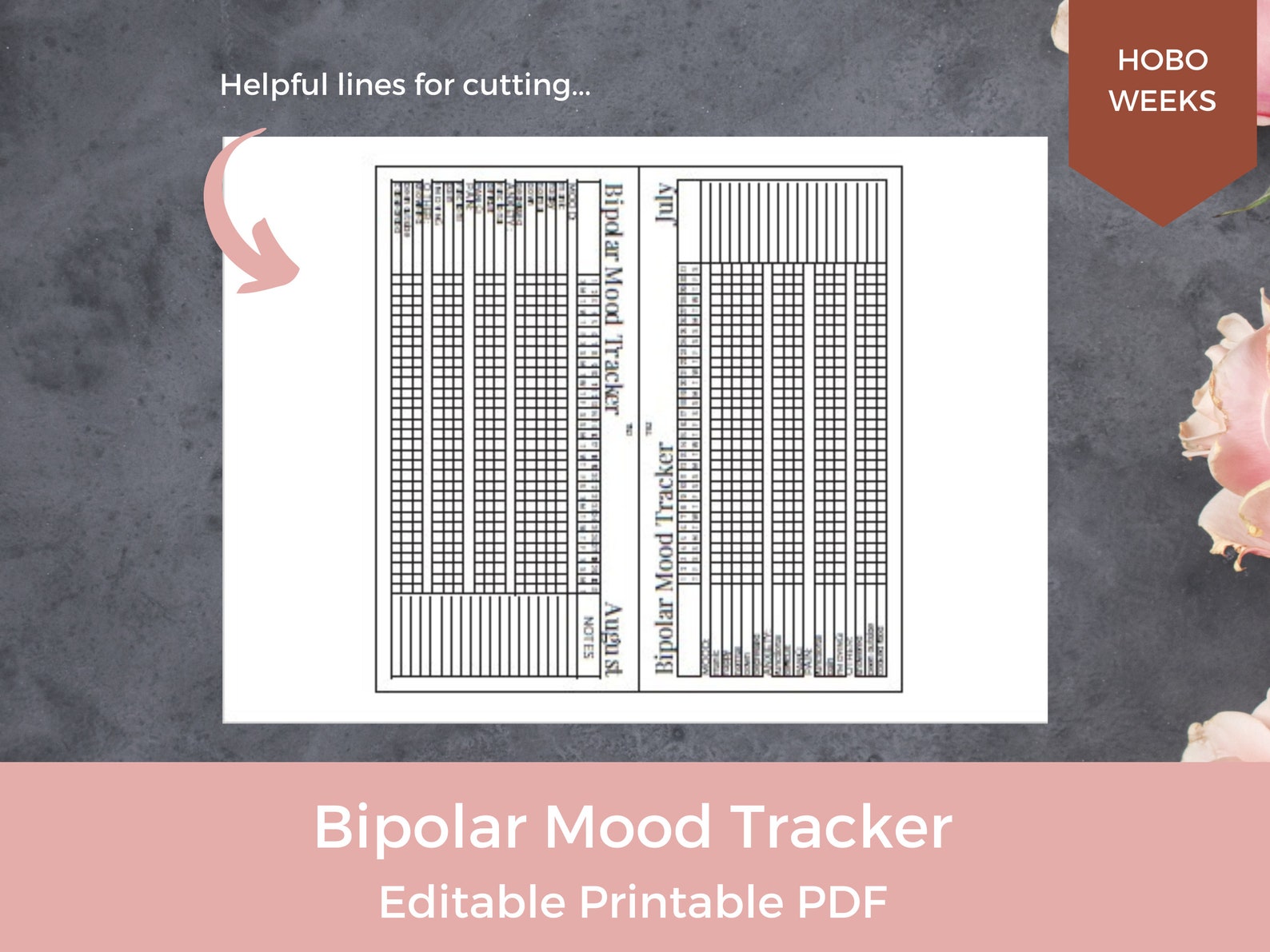 EDITABLE Monthly Bipolar Mood Tracker, Mental Health Tracker, Anxiety ...