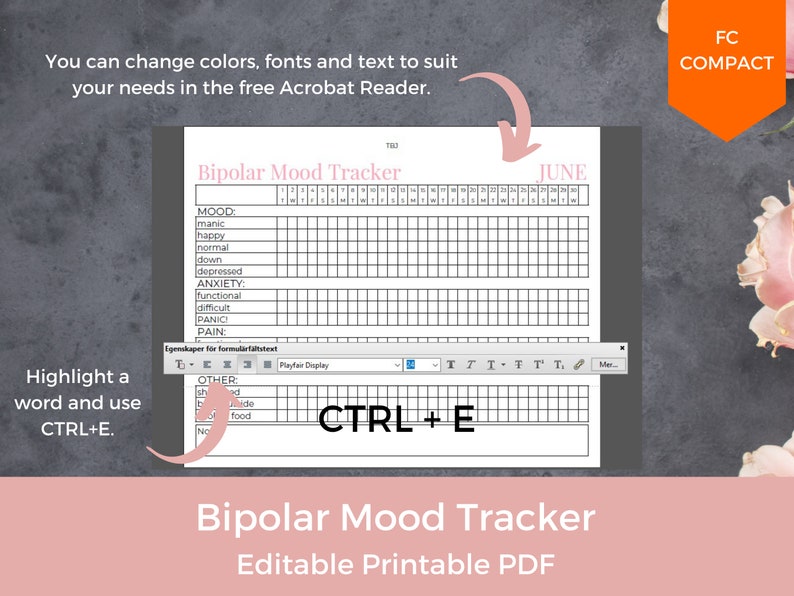 EDITABLE Bipolar Mood Tracker, Mental Health Tracker, Anxiety Tracker ...