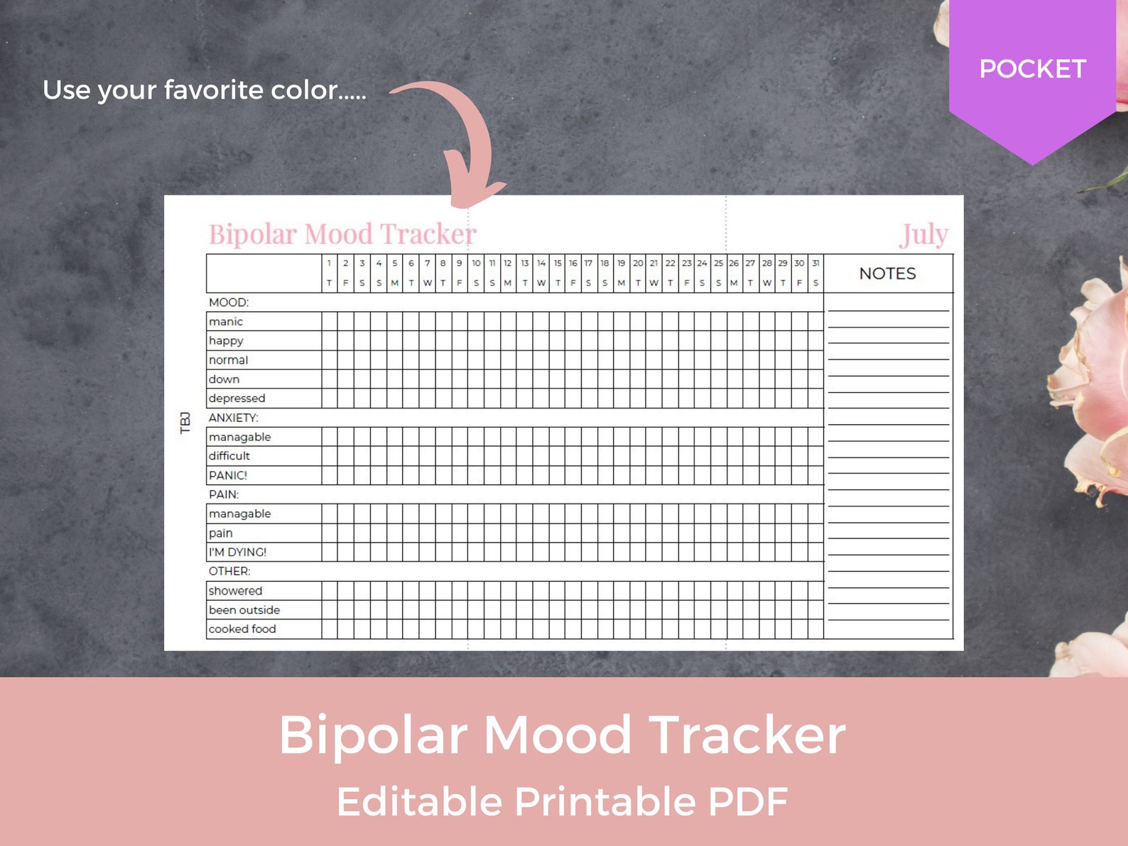 EDITABLE Monthly Bipolar Mood Tracker, Mental Health Tracker, Anxiety ...