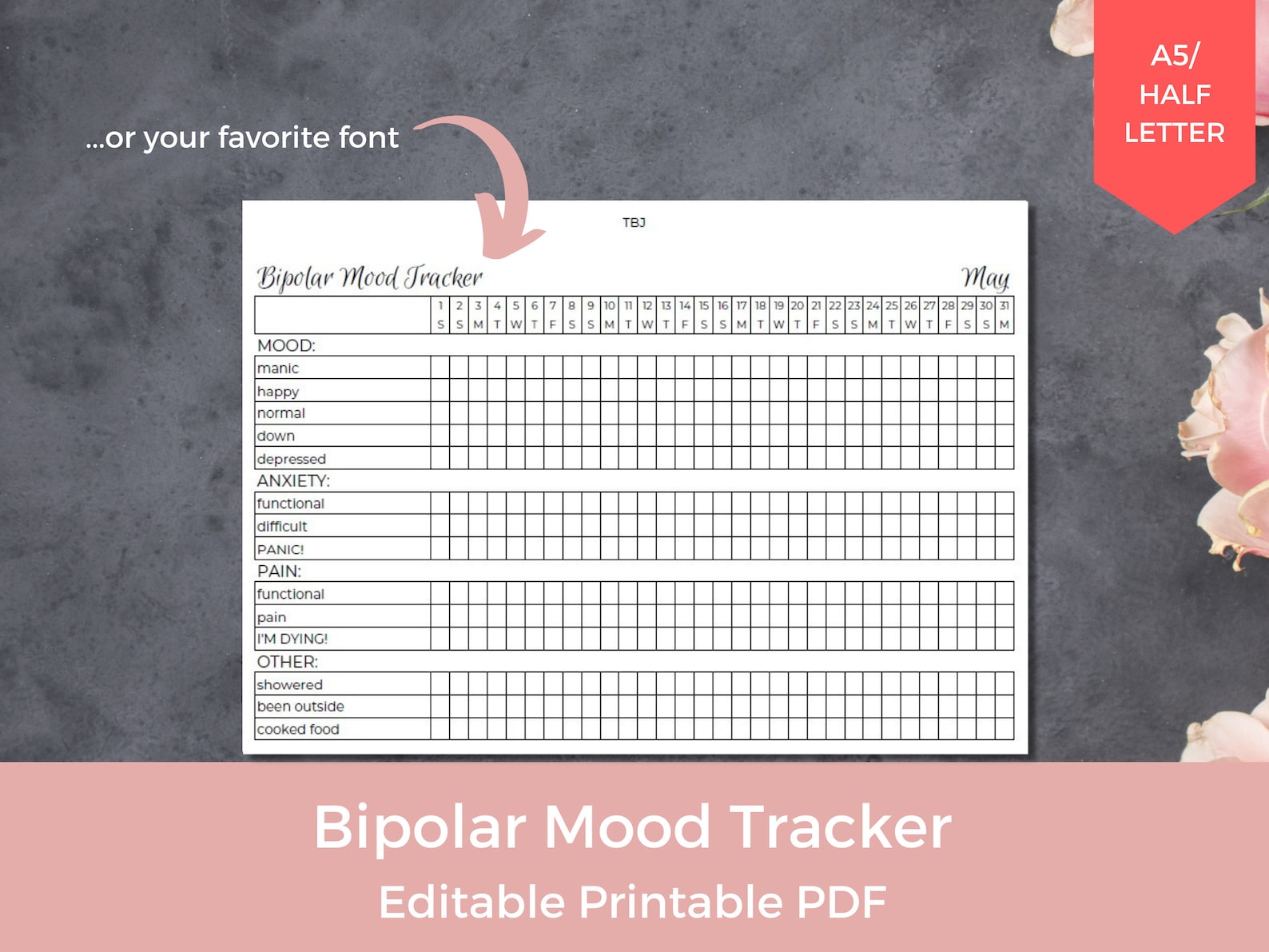 EDITABLE Bipolar Mood Tracker, Mental Health Tracker, Anxiety Tracker ...
