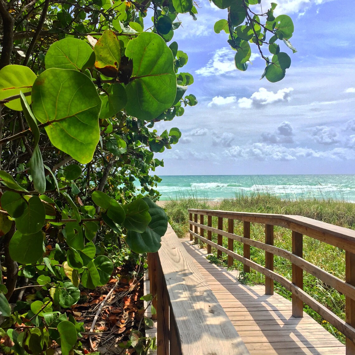 Florida Hollywood Beach Pathway Photo Print 12 X 12 - Etsy