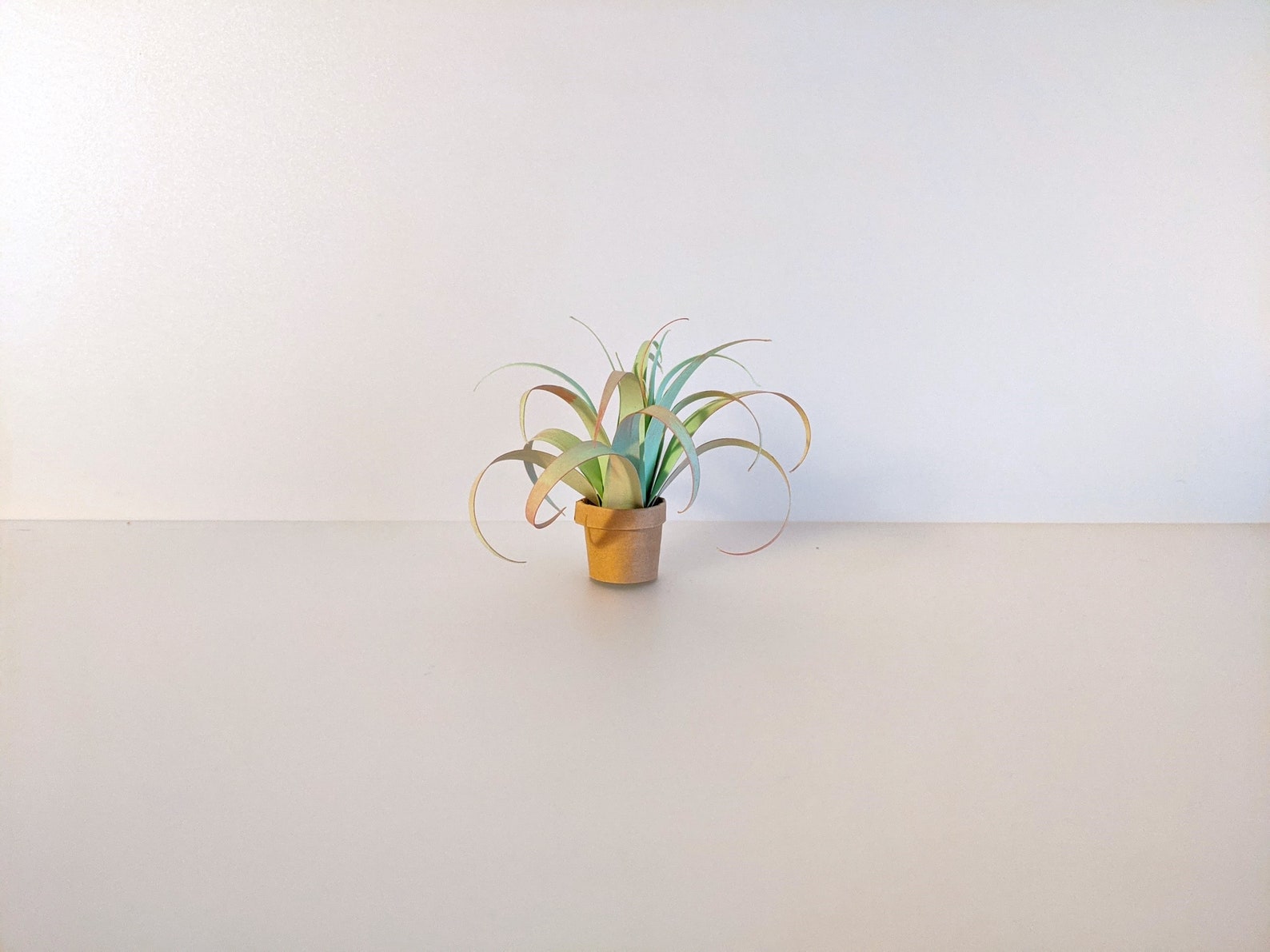 Air Plant and Geometric Planter Template Rolled Papercraft - Etsy