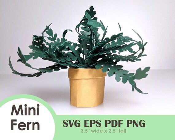 Rolled Fern Printable Template DIY Papercraft House Plant | Etsy