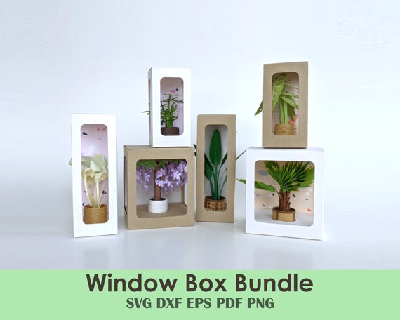 Window Gift Box Bundle Short Tall & Wide Display Box for | Etsy