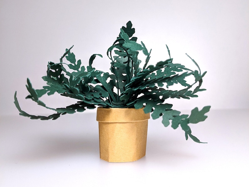 Miniature Plant Template Bundle Easy Cricut SVG Project for - Etsy