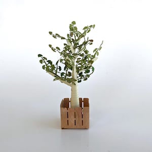 Mini Tree Template Bundle | Papercraft Tree Designs for School Projects ...