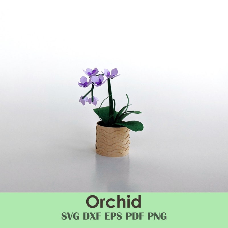 Mini Orchids - Etsy