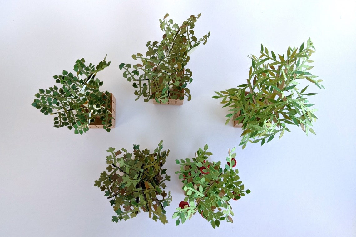 Mini Tree Template Bundle Papercraft Tree Designs for School - Etsy