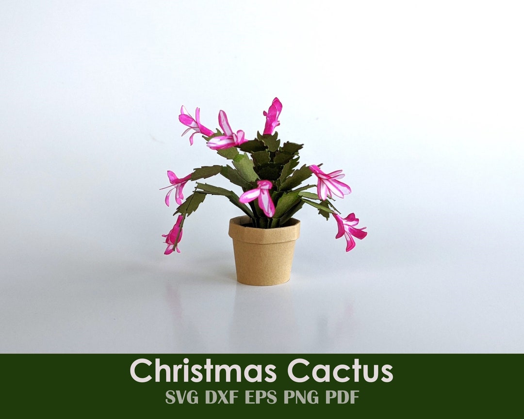 Mini Christmas Cactus Template | Rolled Paper House Plant, Holiday ...