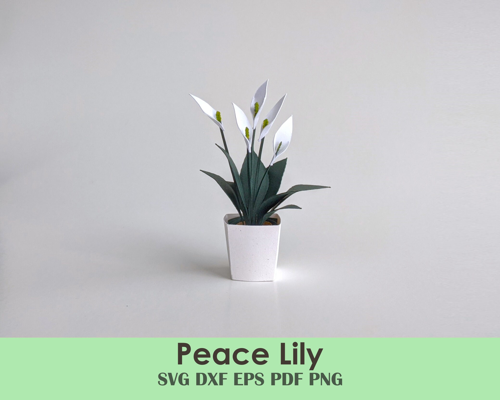 Mini Peace Lily Template for Cricut and Silhouette Rolled - Etsy Australia