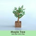 Willow Tree Papercraft Template Mini Weeping Willow Tree DIY Kit for ...