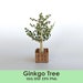 Willow Tree Papercraft Template Mini Weeping Willow Tree DIY Kit for ...
