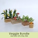 Mini Carrots and Garden Box DIY Template Rolled Papercraft Vegies and ...