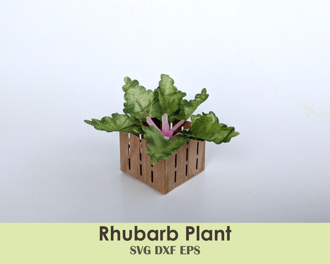 Mini Rhubarb Plant | Scale Miniature Veggie for Dollhouses Garden, Fall ...