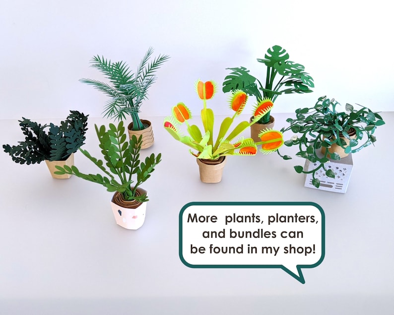 Mini Fiddle Leaf Fig Tree Template Rolled Papercraft House - Etsy