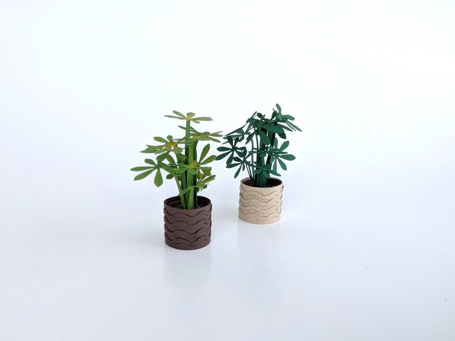 Umbrella Plant Papercraft Project - Printable Template for Cutting ...