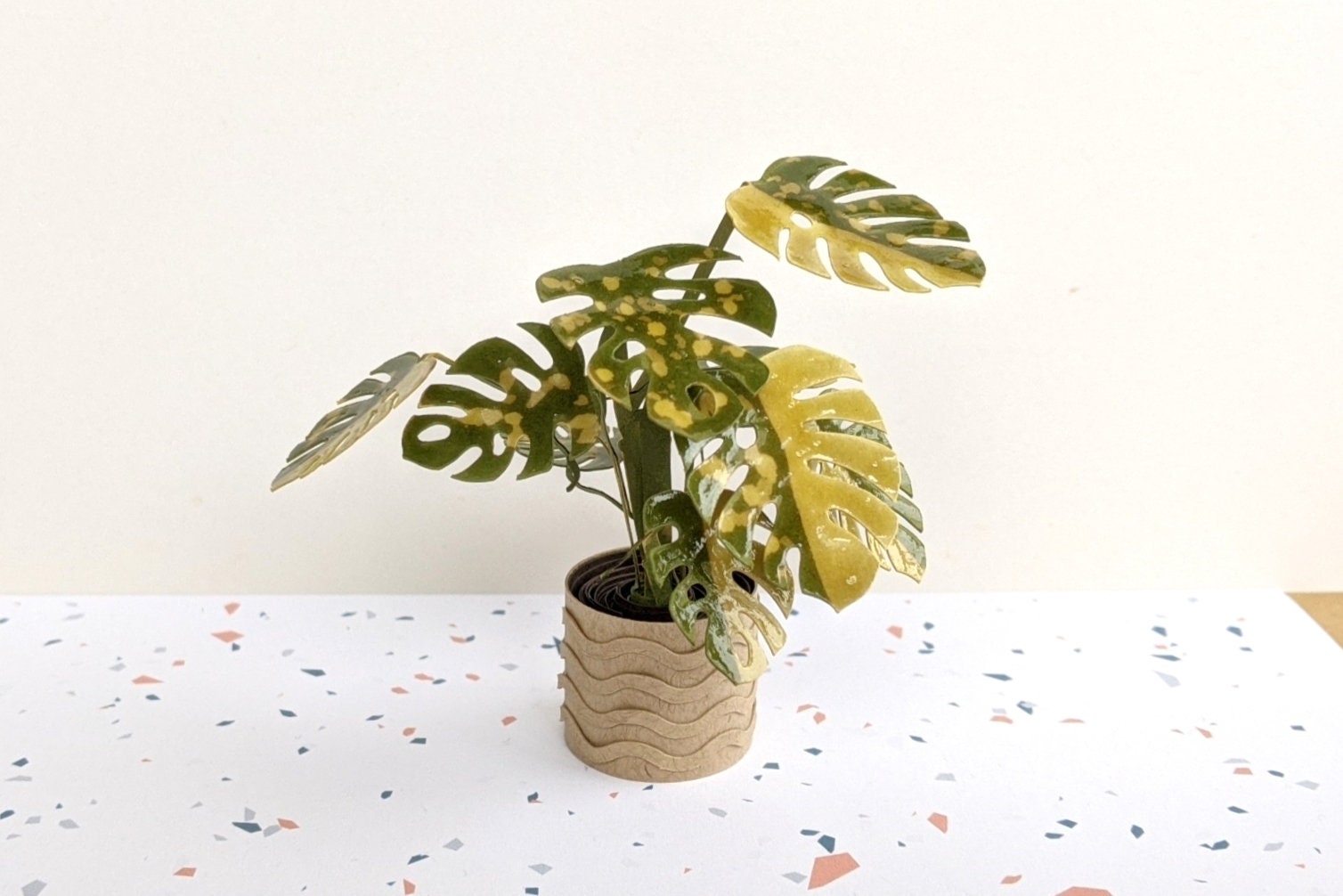 Realistic Monstera Template | Mini House Plant - Etsy