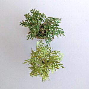 Willow Tree Papercraft Template | Mini Weeping Willow Tree DIY Kit for ...