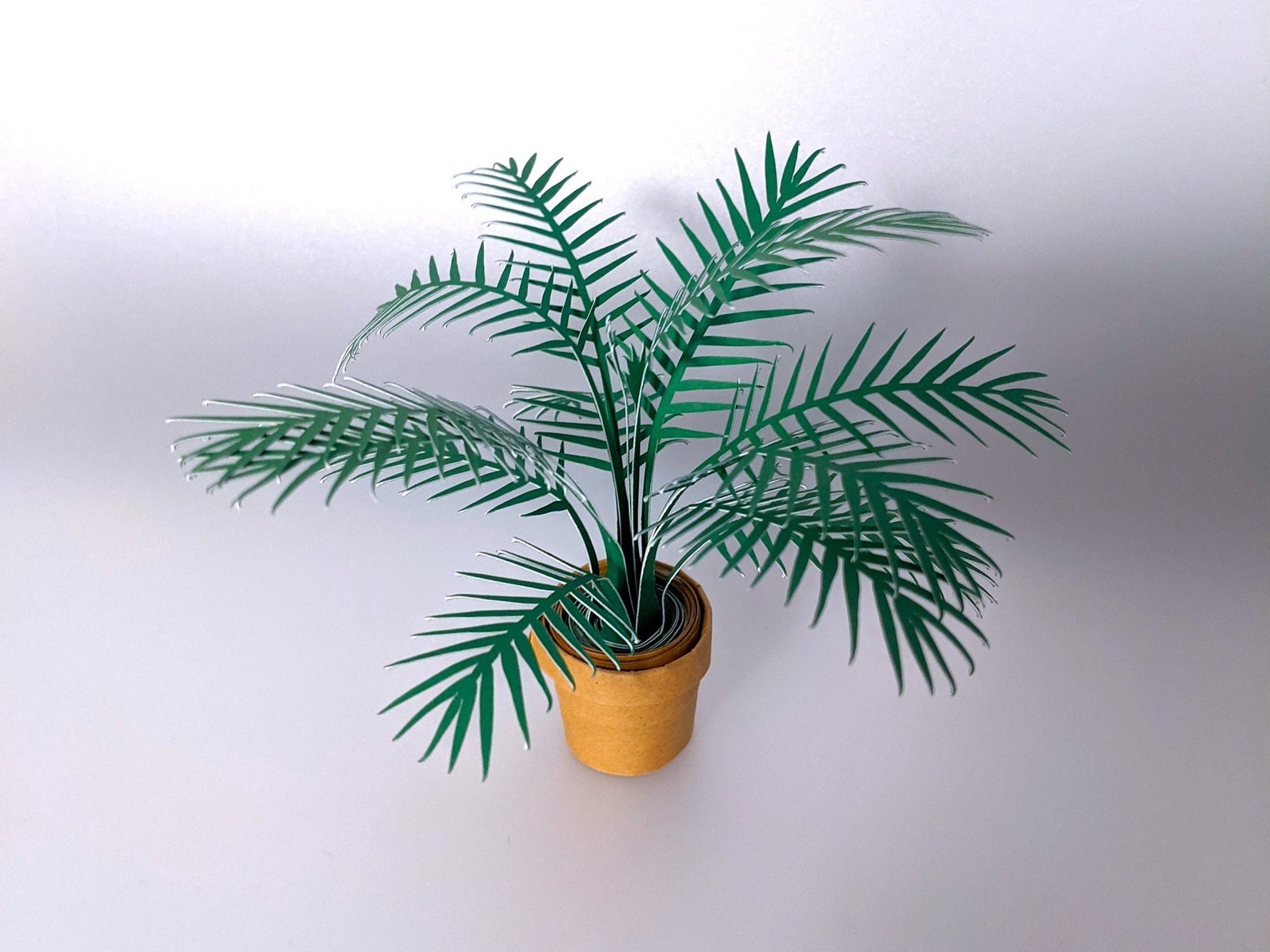 Paper Palm Tree Template DIY Tropical Printable Papercraft - Etsy