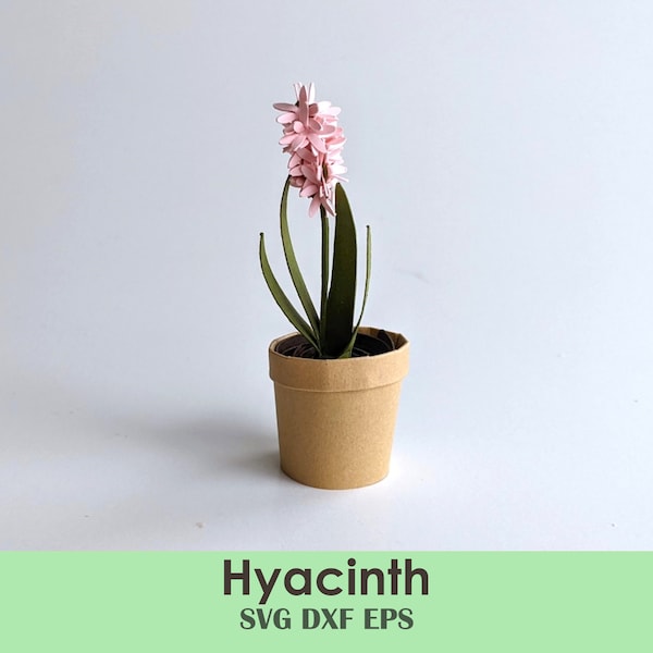 Miniature Hyacinth - Etsy