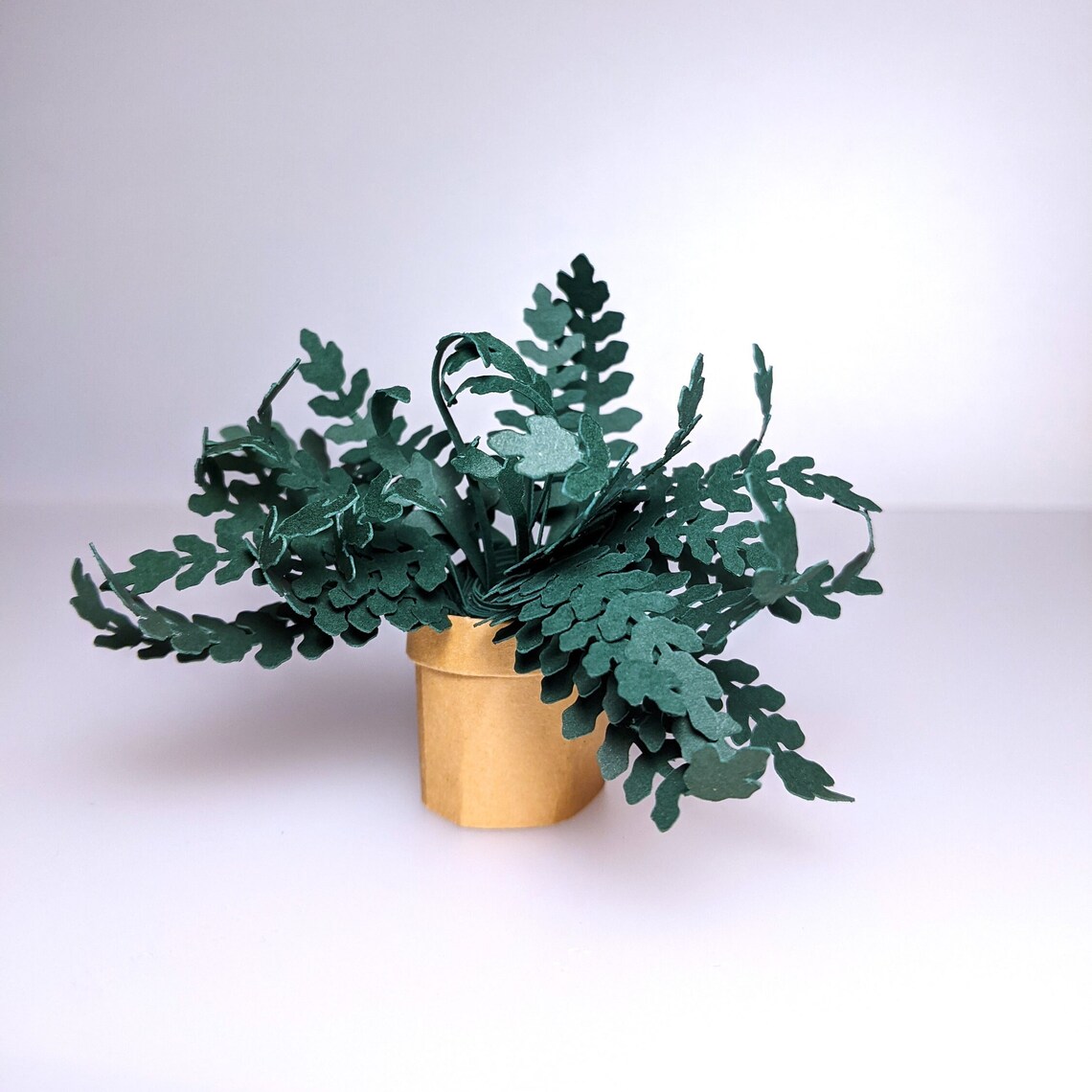 Rolled Fern Printable Template DIY Papercraft House Plant | Etsy