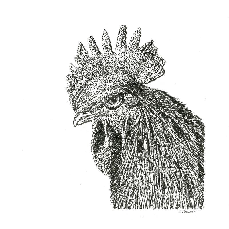 Rooster Portrait - Etsy
