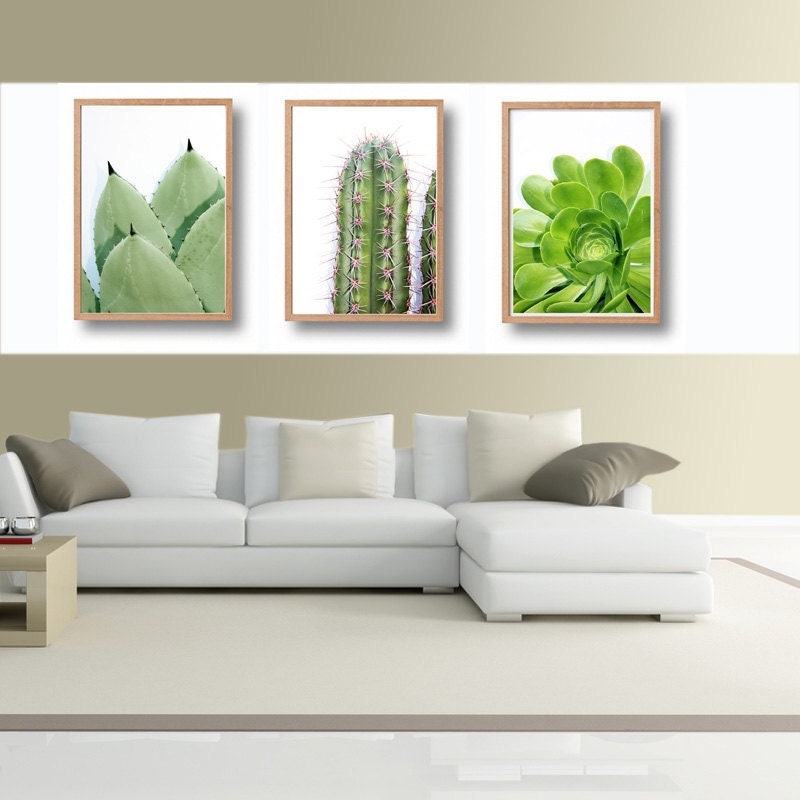 Cactus Print, Succulent Botanical Art, Cactus Green Photo, Large Poster ...