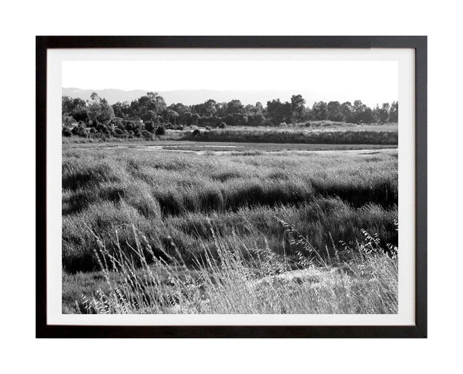 Landscape Art Grass Photography Grass Artwork Download - Etsy