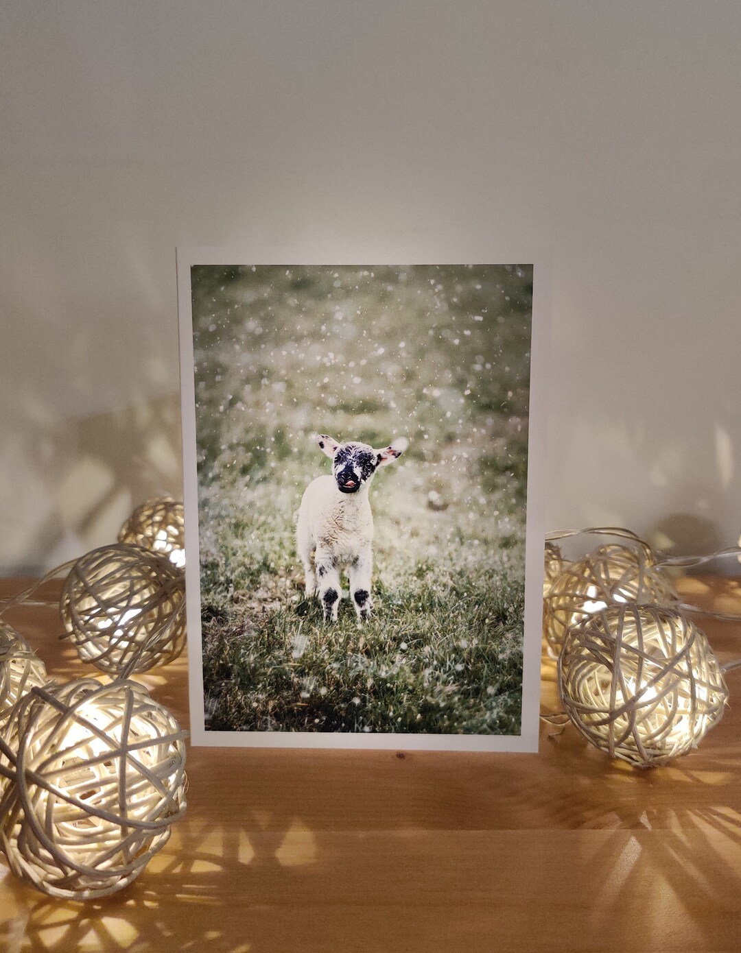 Set of 5 Cute Lamb Cards Sheep Greeting Cards Blank Cards Set of ...