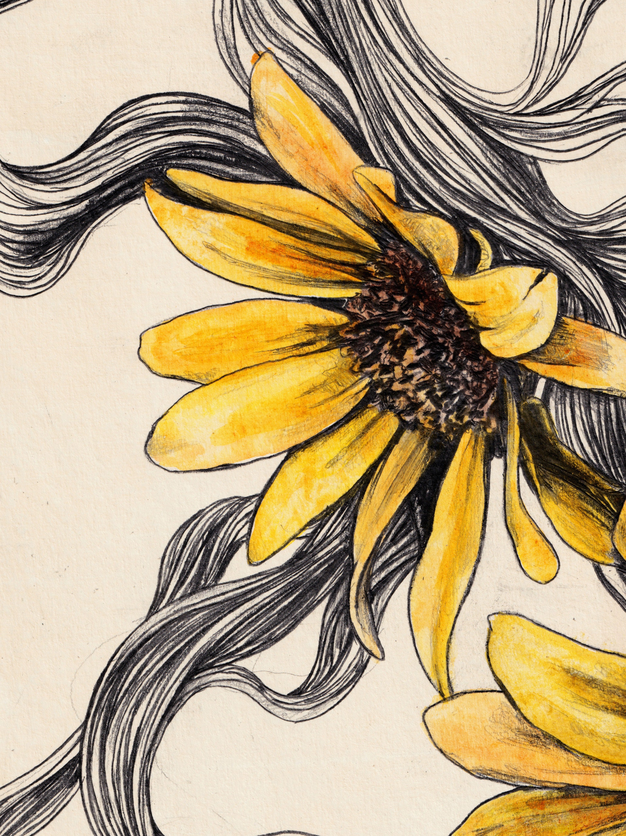 Sunflower Drawing Tumblr