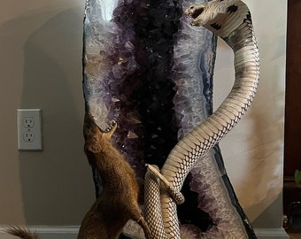 Taxidermy Snake | Etsy