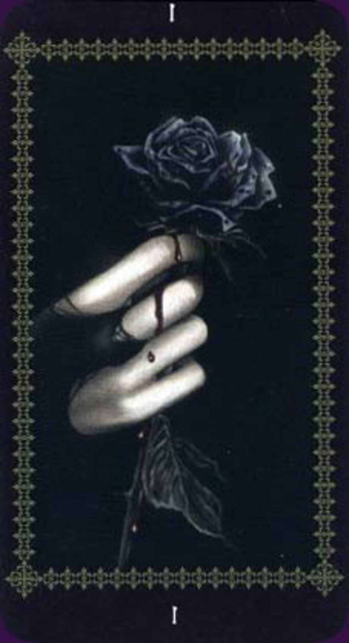 Favole Tarot Deck Sealed | Etsy