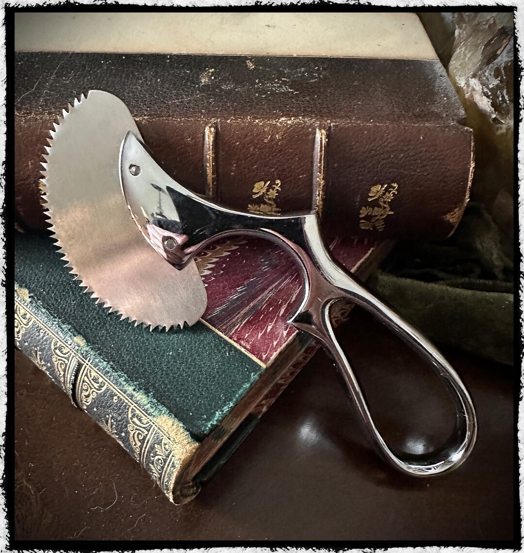 Bone Saw Amputation Authentic autopsy Tool - Etsy