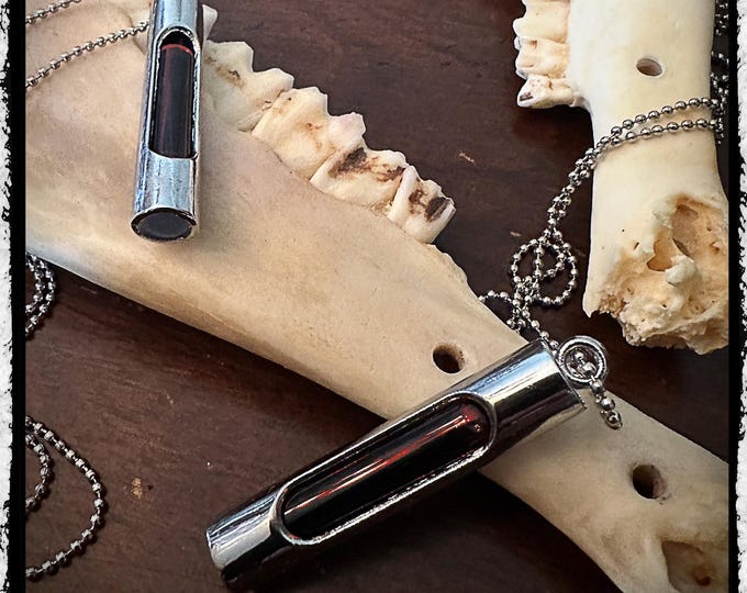 Blood Vial Necklace Kit Empty Fillable Glass Crystal Heart Ash Memorial ...