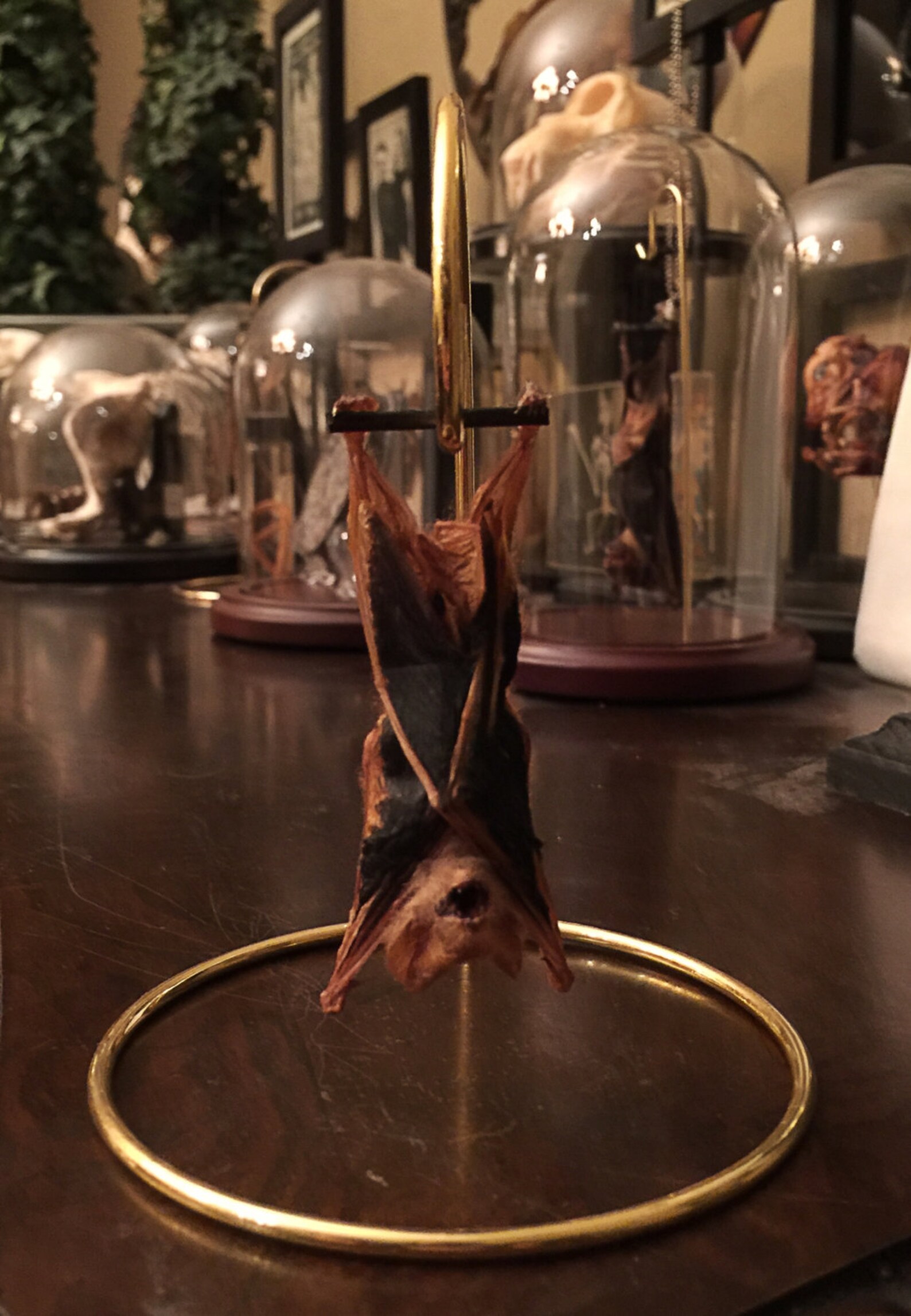 Small Hanging Bat on Gold Wire Stand | Etsy