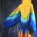Macaw Hoodie - Etsy