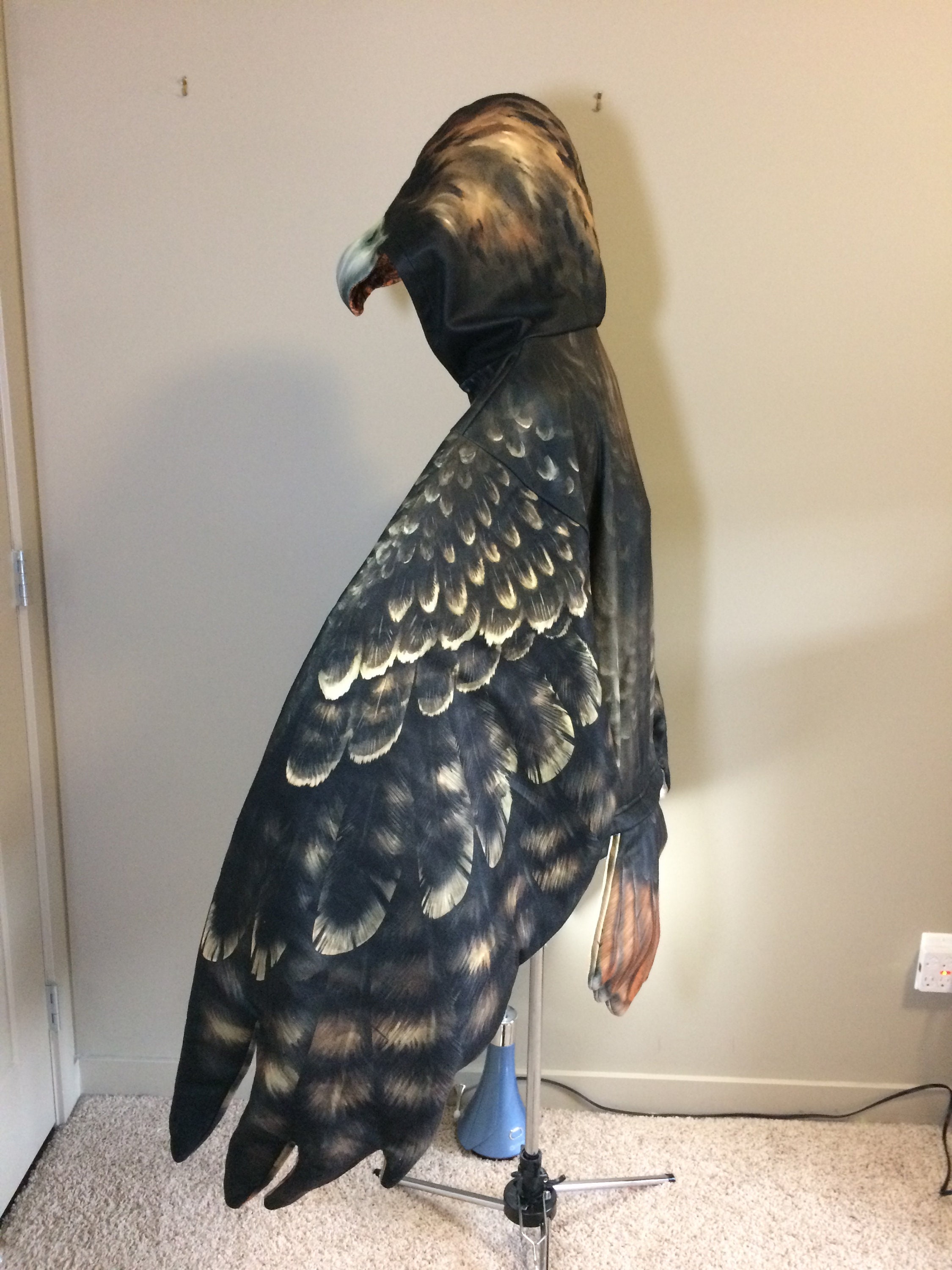 Red Tailed Hawk Hoodie | Etsy