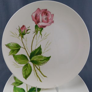 Set of 6 Edwin Knowles Tea Rose Dinner Plates - 10" Diameter - Accent ...